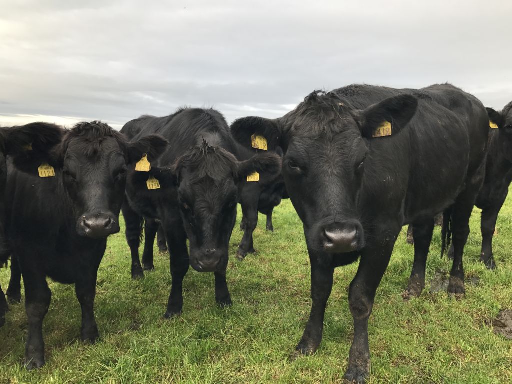 Redmond Farm is on the rise