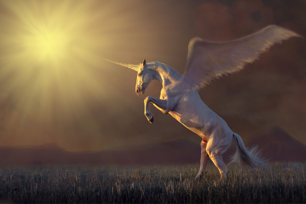 These Are Ireland s Unicorn Businesses ThinkBusiness